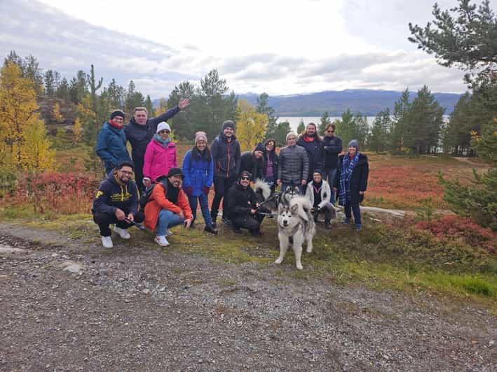 3 Hour UNESCO World Heritage Hike to Komsa Mountain | GetYourGuide