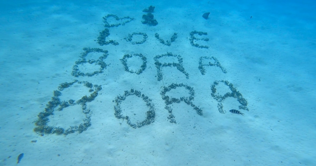 Bora Bora: Tour privato di 1/2 giorni con safari nella laguna ...