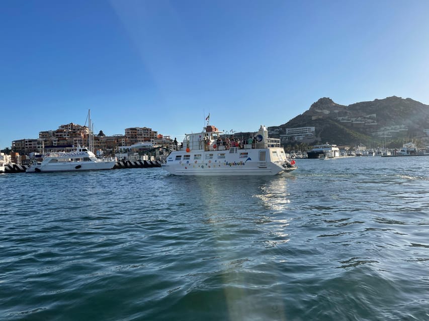 Underwater Exploration Tour & Ocean Sighting Tour | GetYourGuide