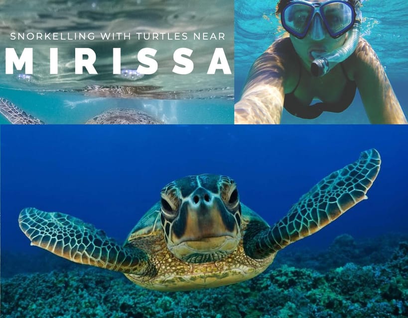 Snorkeling with Turtles in Mirissa | GetYourGuide