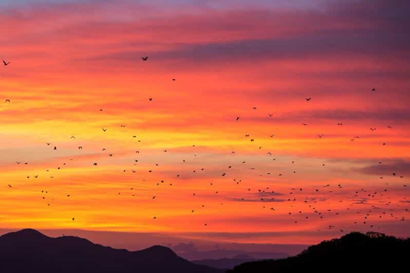 From Labuan Bajo: Komodo Island Hopping with Sunset | GetYourGuide