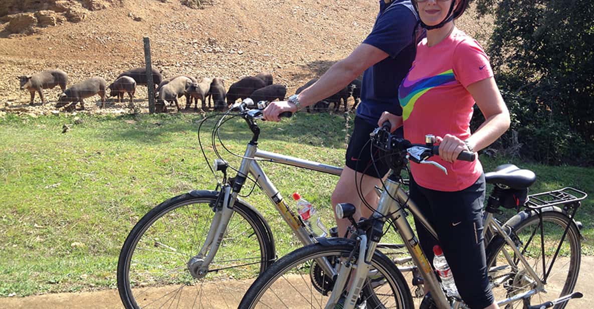 Seville: Sierra Norte Park and Villages Bike Tour | GetYourGuide