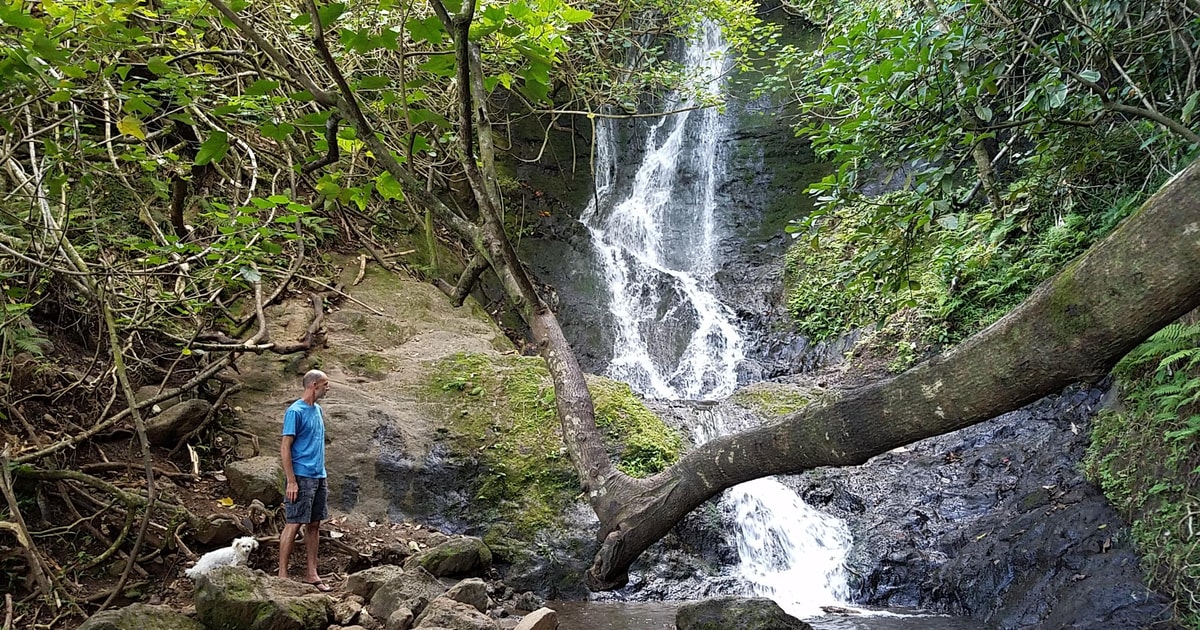 Ko’olau Waterfall Hike | GetYourGuide
