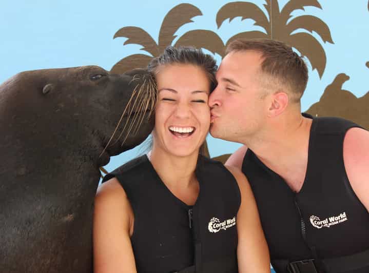Coral World Ocean Park Tickets and Sea Lion Swim | GetYourGuide