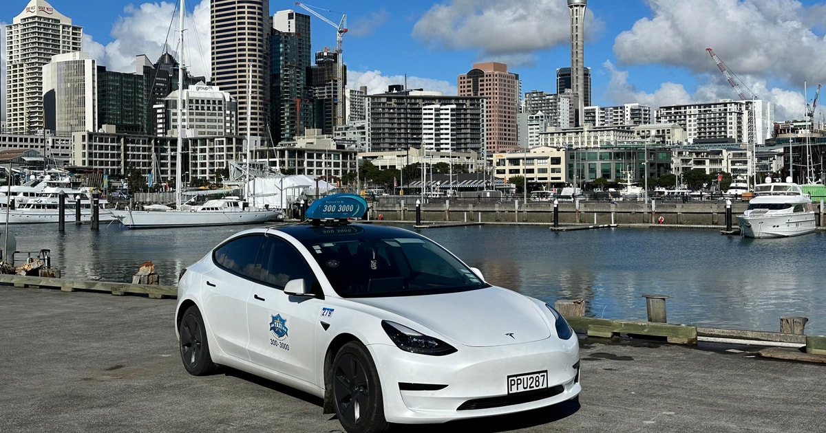 Excursão particular GoGuided Auckland Essentials | GetYourGuide