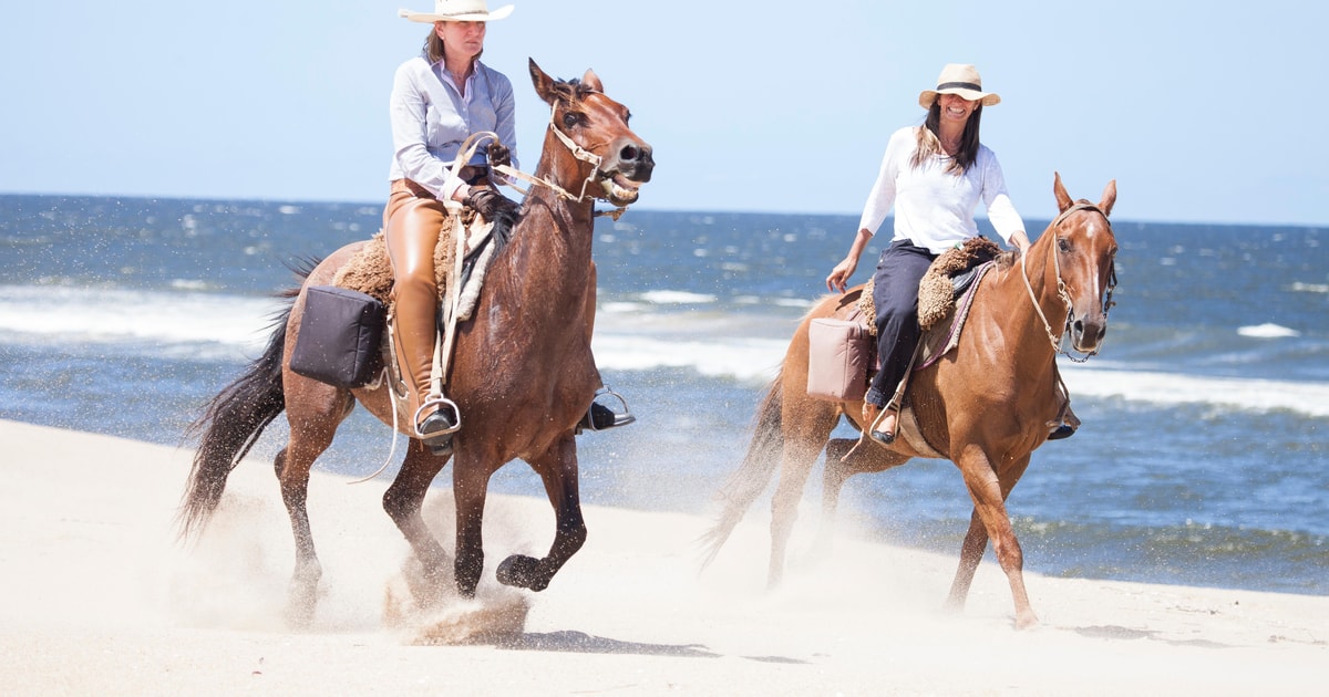 Paseo a caballo por la playa | GetYourGuide