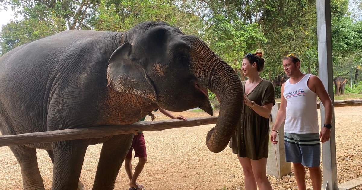 Krabi: Khao Sok Elephant Sanctuary, Rafting Tour, and Lunch | GetYourGuide