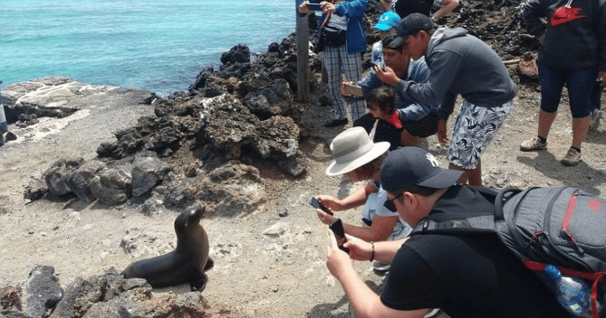 Dagtrip naar Isabela eiland en Tintoreras in Galápagos | GetYourGuide