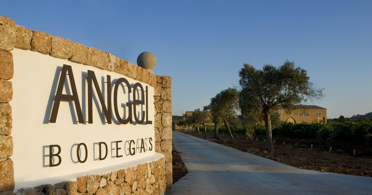 Mallorca: Bodegas Ángel Winery Tour with Wine Tasting | GetYourGuide