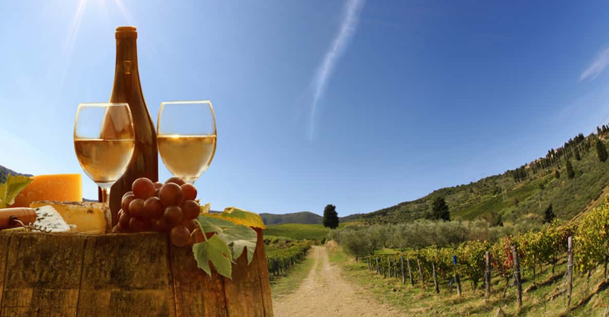 From Pisa or Lucca: Half-Day Tuscany Chianti Wine Tasting | GetYourGuide