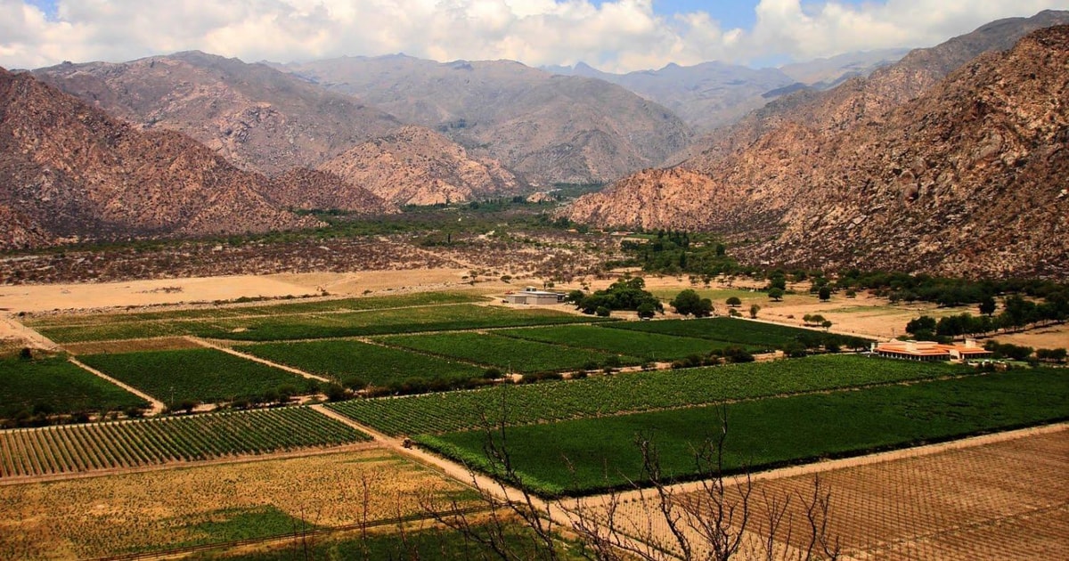 From Salta: Full-Day Wine and Valley Tour to Cafayate | GetYourGuide