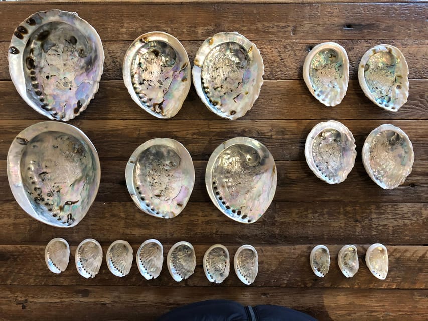 Hermanus guided abalone farm tour & tasting | GetYourGuide