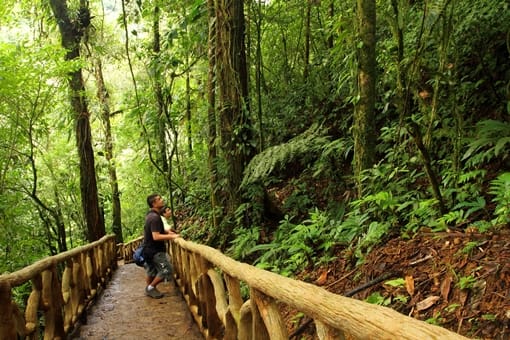 Small-Group Blue River & Tenorio Volcano National Park Hike | GetYourGuide