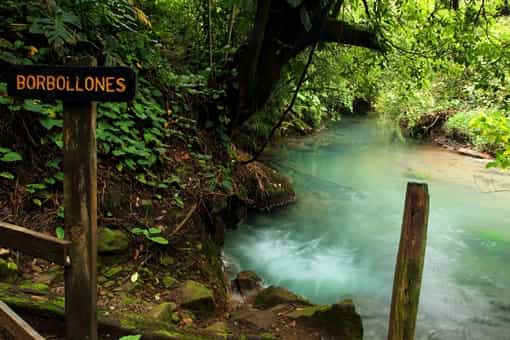 Small-Group Blue River & Tenorio Volcano National Park Hike | GetYourGuide