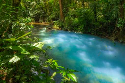 Small-Group Blue River & Tenorio Volcano National Park Hike | GetYourGuide