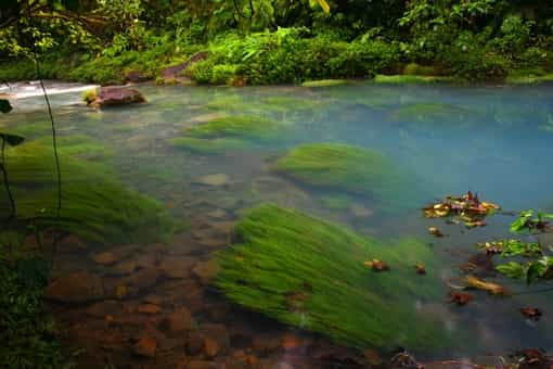 Small-Group Blue River & Tenorio Volcano National Park Hike | GetYourGuide