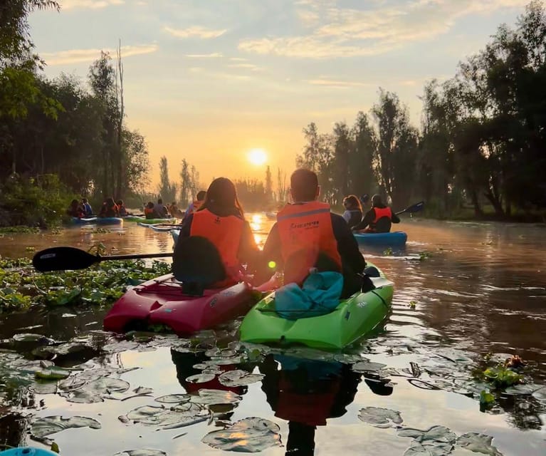 Amanecer en Xochimilco en Kayak | GetYourGuide