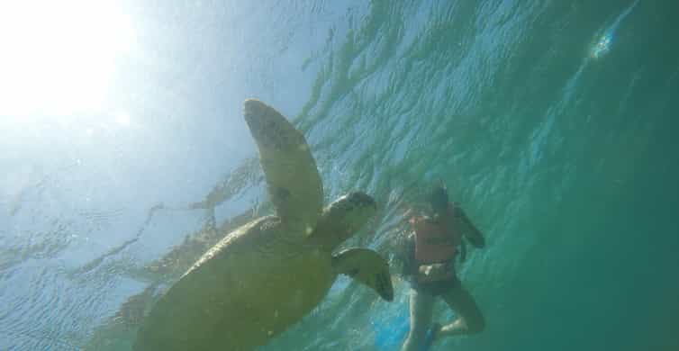 Cebu: Kawasan Canyoneering & Sardines Run and Turtle Chase | GetYourGuide