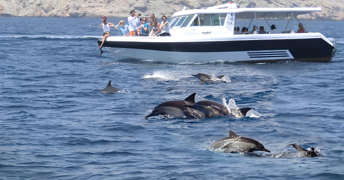 Muscat: Dolphin Watching Boat Trip with Snacks & Local Guide | GetYourGuide