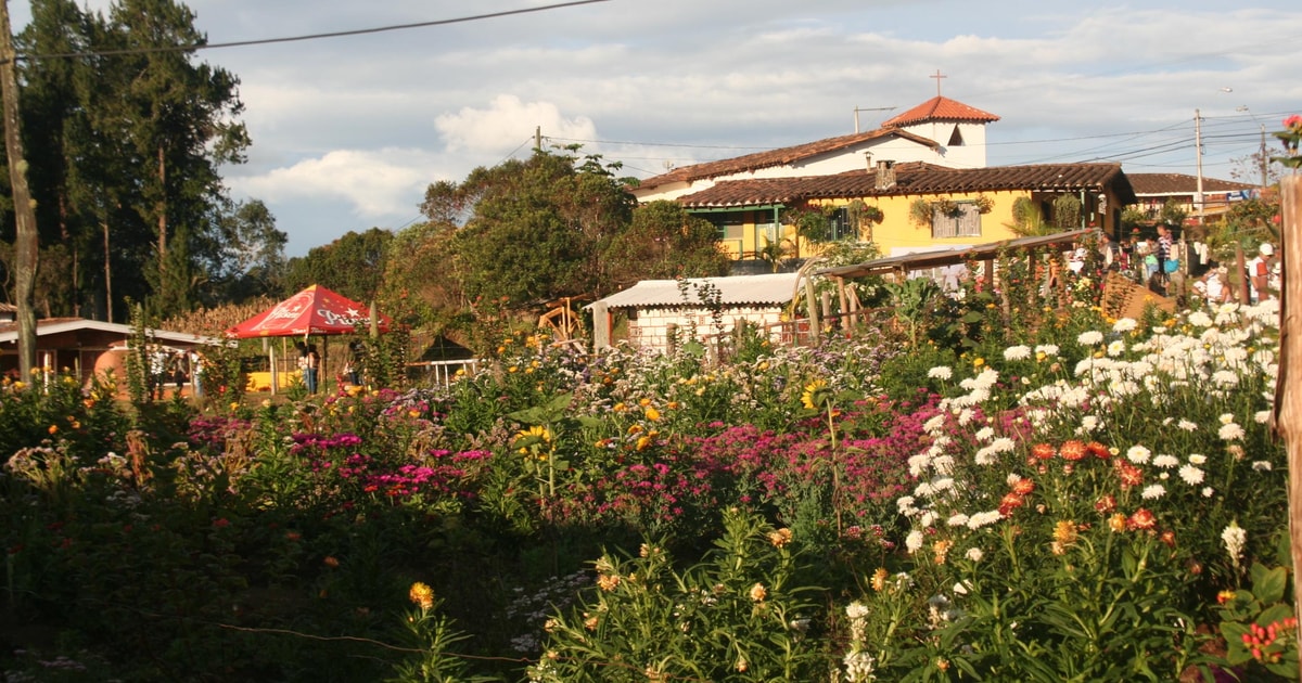 From Medellin: Flower Farm Tour | GetYourGuide