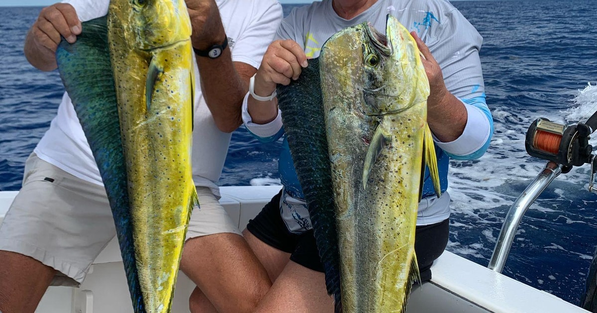 4 horas de pesca o snorkel | GetYourGuide