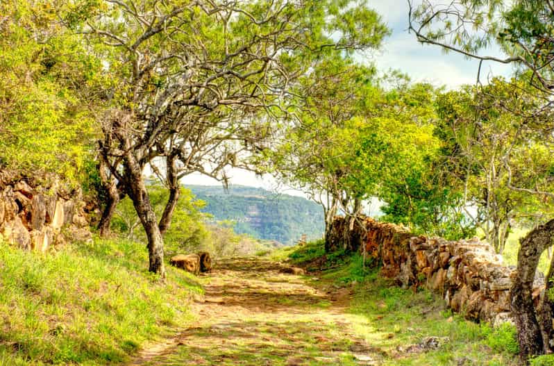 Ruta de un día por el Camino Real de Barichara a Guane | GetYourGuide