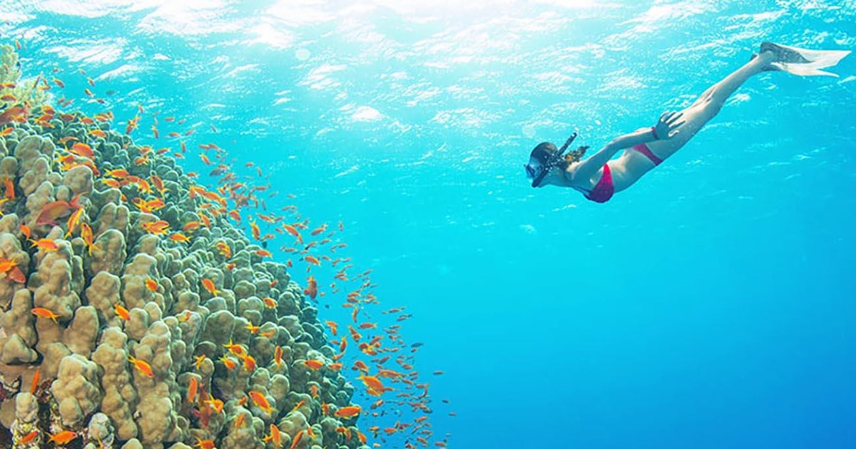 Bali: All-Inclusive Snorkeling at Blue Lagoon Beach | GetYourGuide