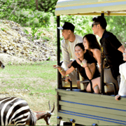 Cebu:Cebu Safari Adventure Park Day Trip | GetYourGuide