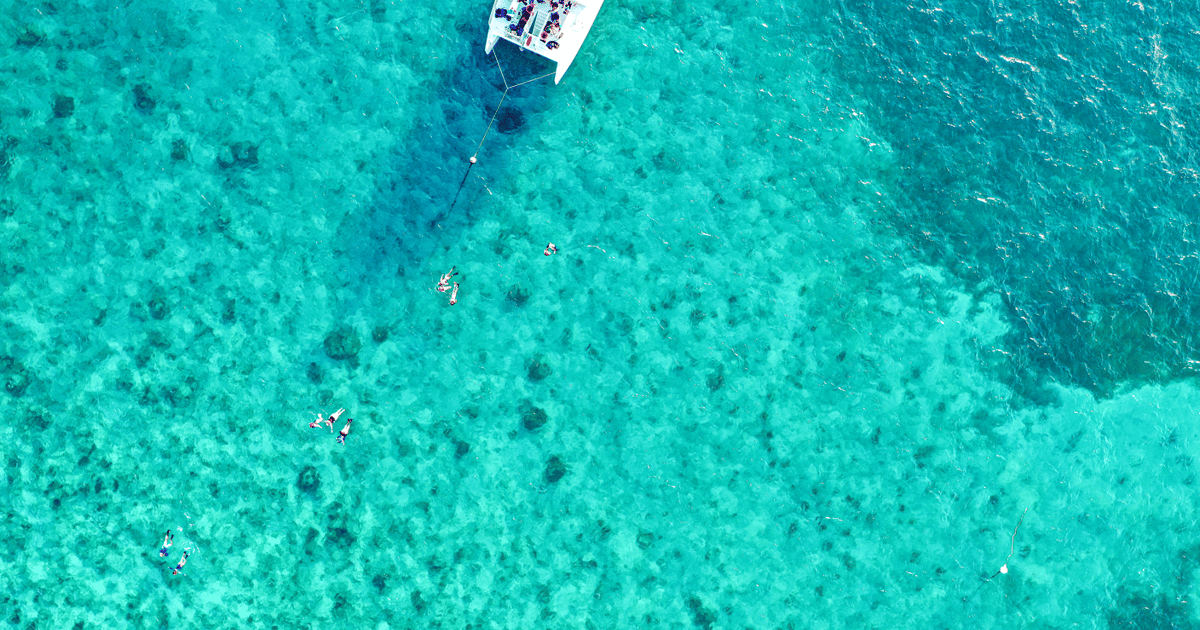 Key West: Rejs o zachodzie słońca z obserwacją delfinów i nurkowaniem z ...