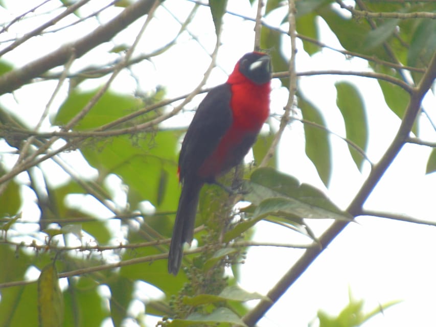 From Quito: Ecuador Jungle Tour Full Day - All Includes | GetYourGuide