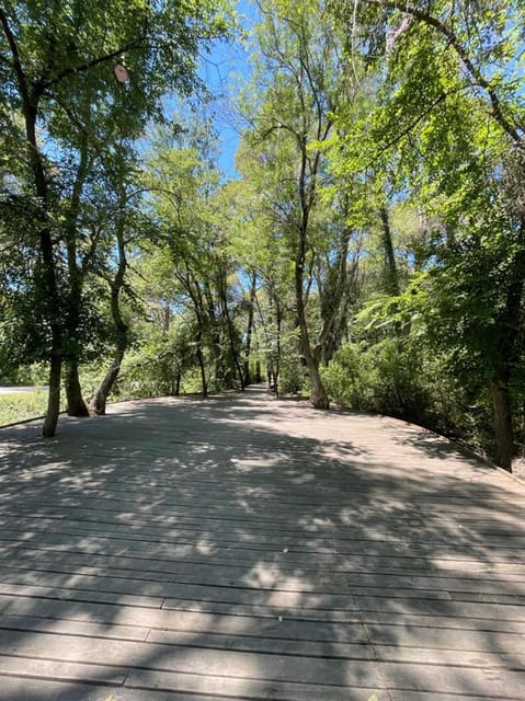 Divjaka-Karavasta National Park Daily Tour | GetYourGuide