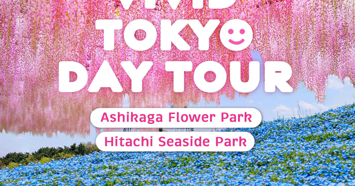 Voorjaarsspecial van Tokio: Hitachi Seaside / Ashikaga Flower Park ...