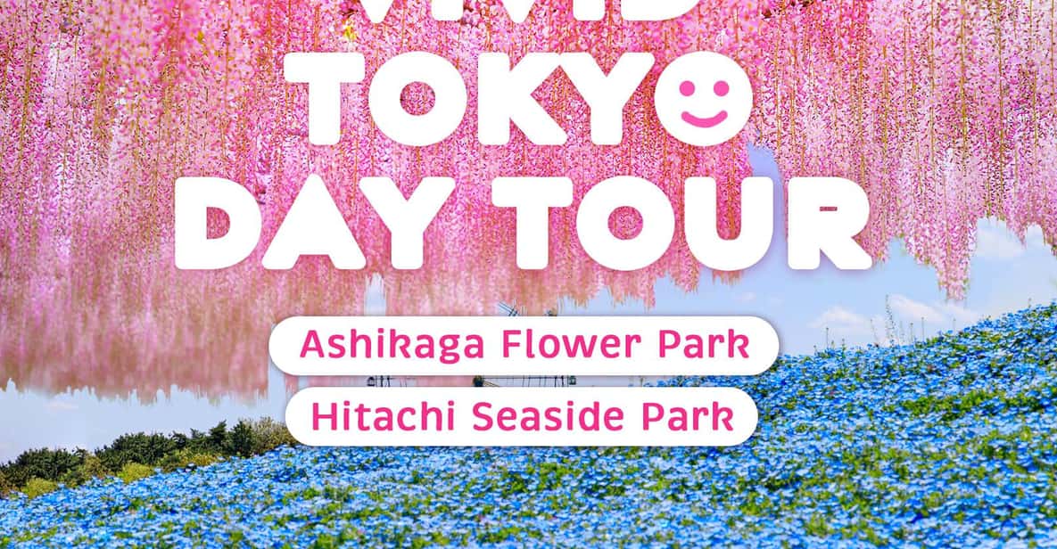 Spécial printemps à Tokyo : Hitachi Seaside / Ashikaga Flower Park ...