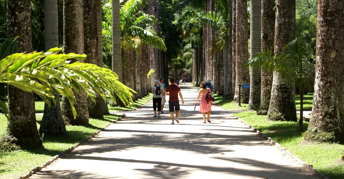 Rio de Janeiro: Botanical Garden Guided Visit | GetYourGuide