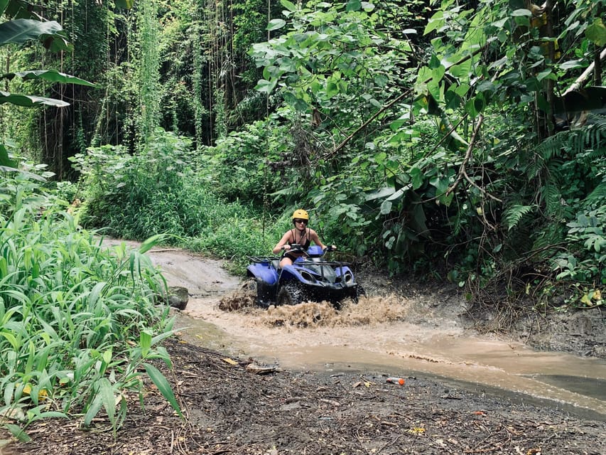 Ubud: Gorilla Face ATV Quad Bike | GetYourGuide