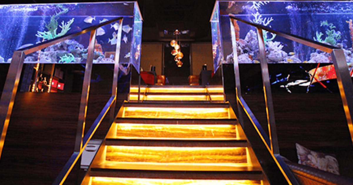 Kabukicho, Shinjuku: experimentando o Japanese Host Club | GetYourGuide
