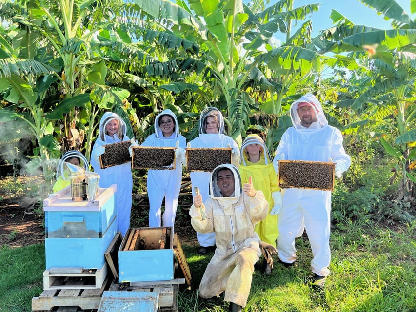 Bee Farm Tour & Honey Tasting | GetYourGuide