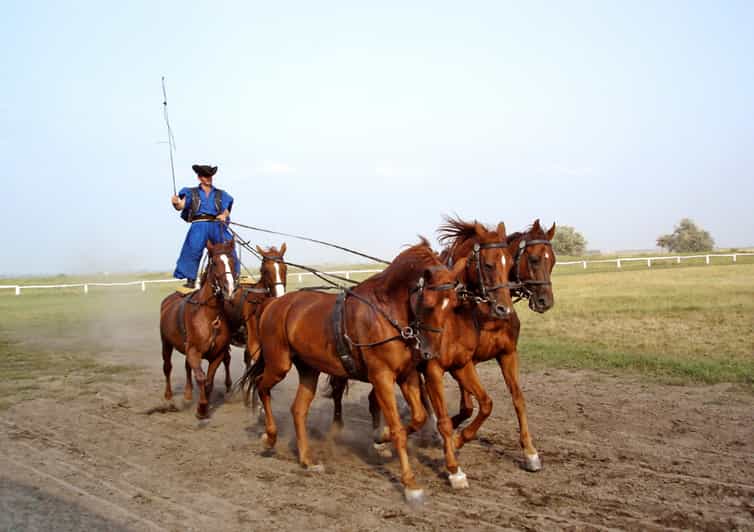 From Budapest: Full-Day Puszta Tour with Lunch and Show | GetYourGuide