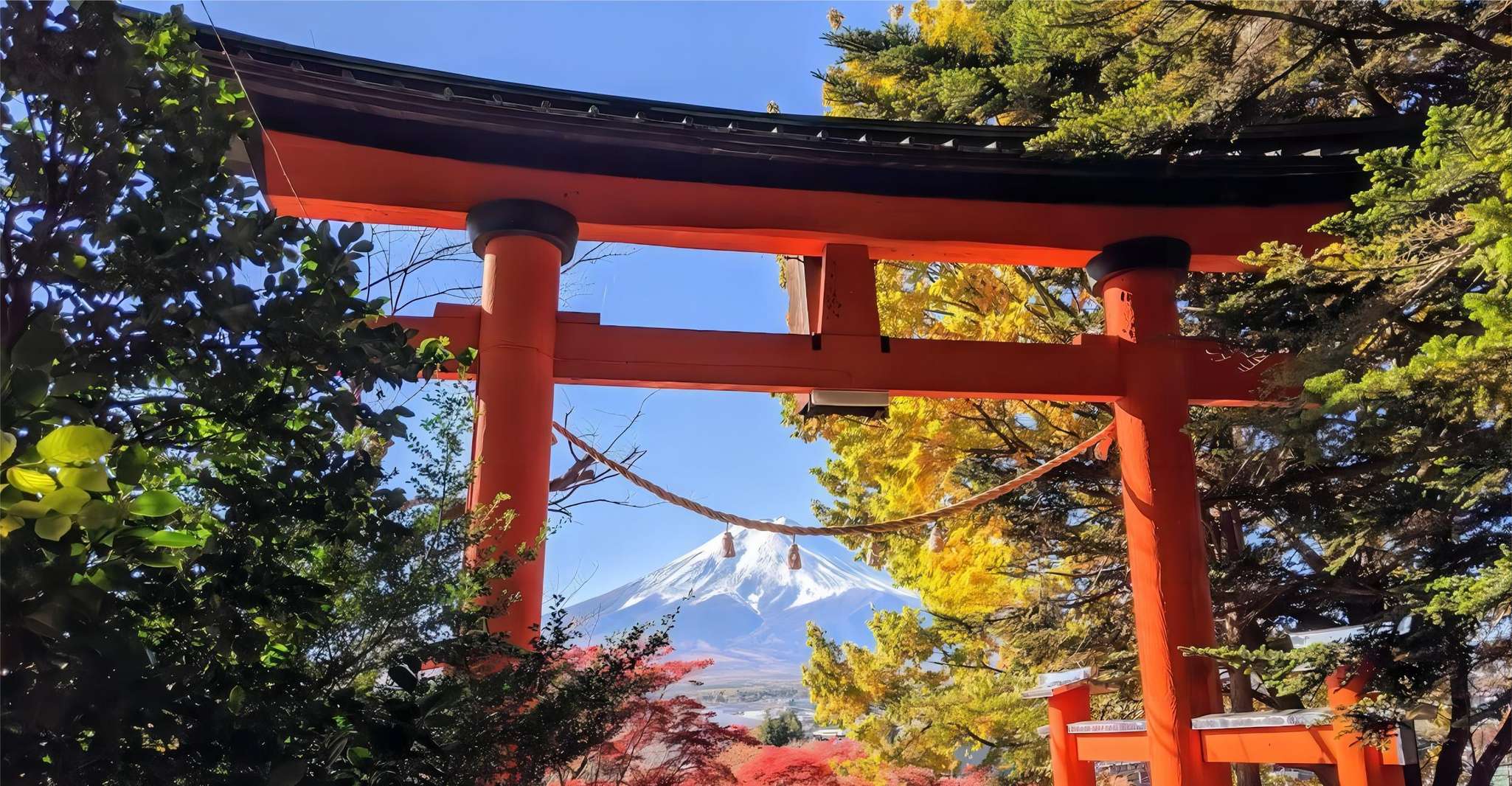 From Tokyo to Mount. Fuji, Instagram-Worthy Full Day Tour | Adventure ...