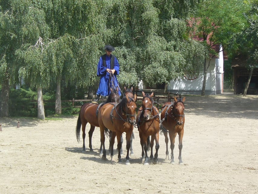 Puszta Full-Day Tour from Budapest with Lunch | GetYourGuide