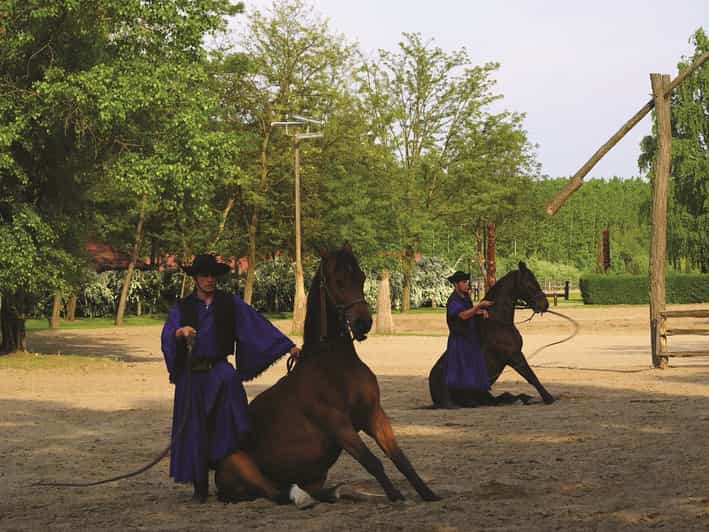 From Budapest: Full-Day Puszta Tour with Lunch and Show | GetYourGuide