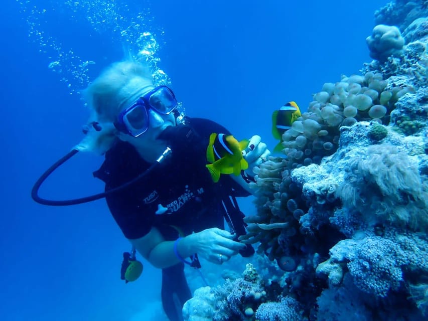 Hurghada: Excursión de Introducción al Buceo y el Snorkel con Comida y ...