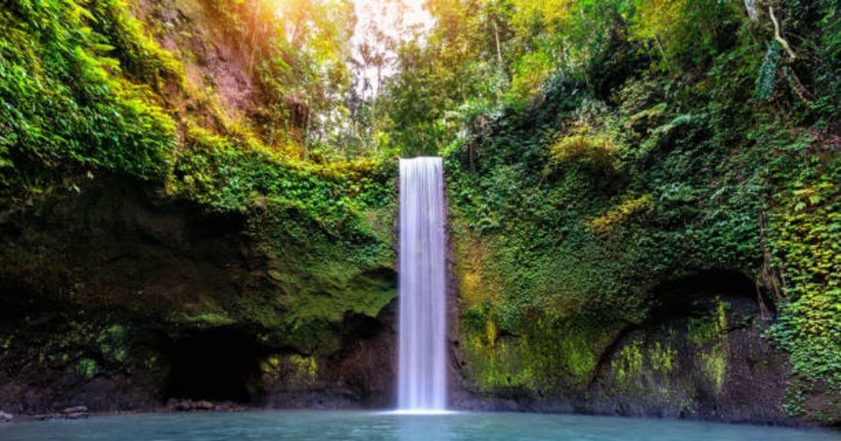 Bali: Ubud Waterfall Tour | GetYourGuide