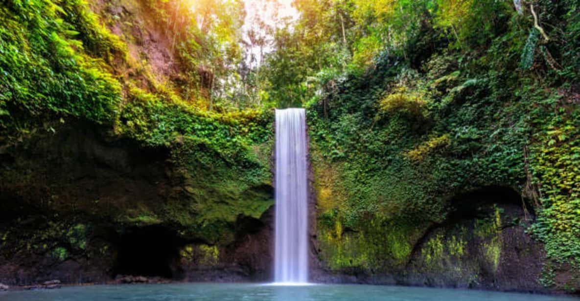 Bali: Ubud Wasserfall Tour | GetYourGuide Bali: Ubud Wasserfall Tour | GetYourGuide