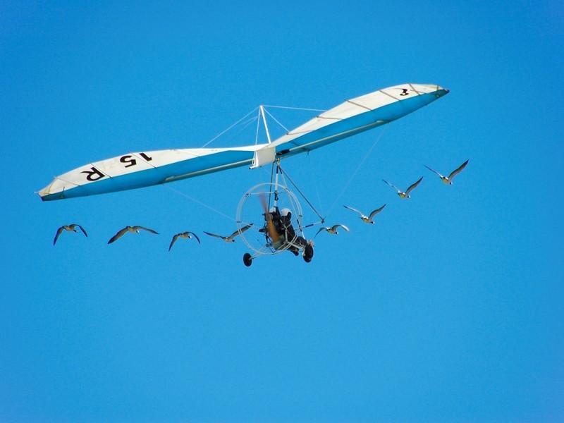 Deltaplane Flight in Bucharest | GetYourGuide