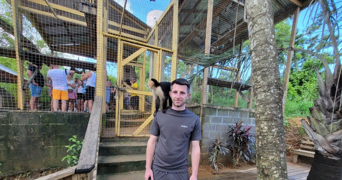 Parque de animales y tour turístico | GetYourGuide