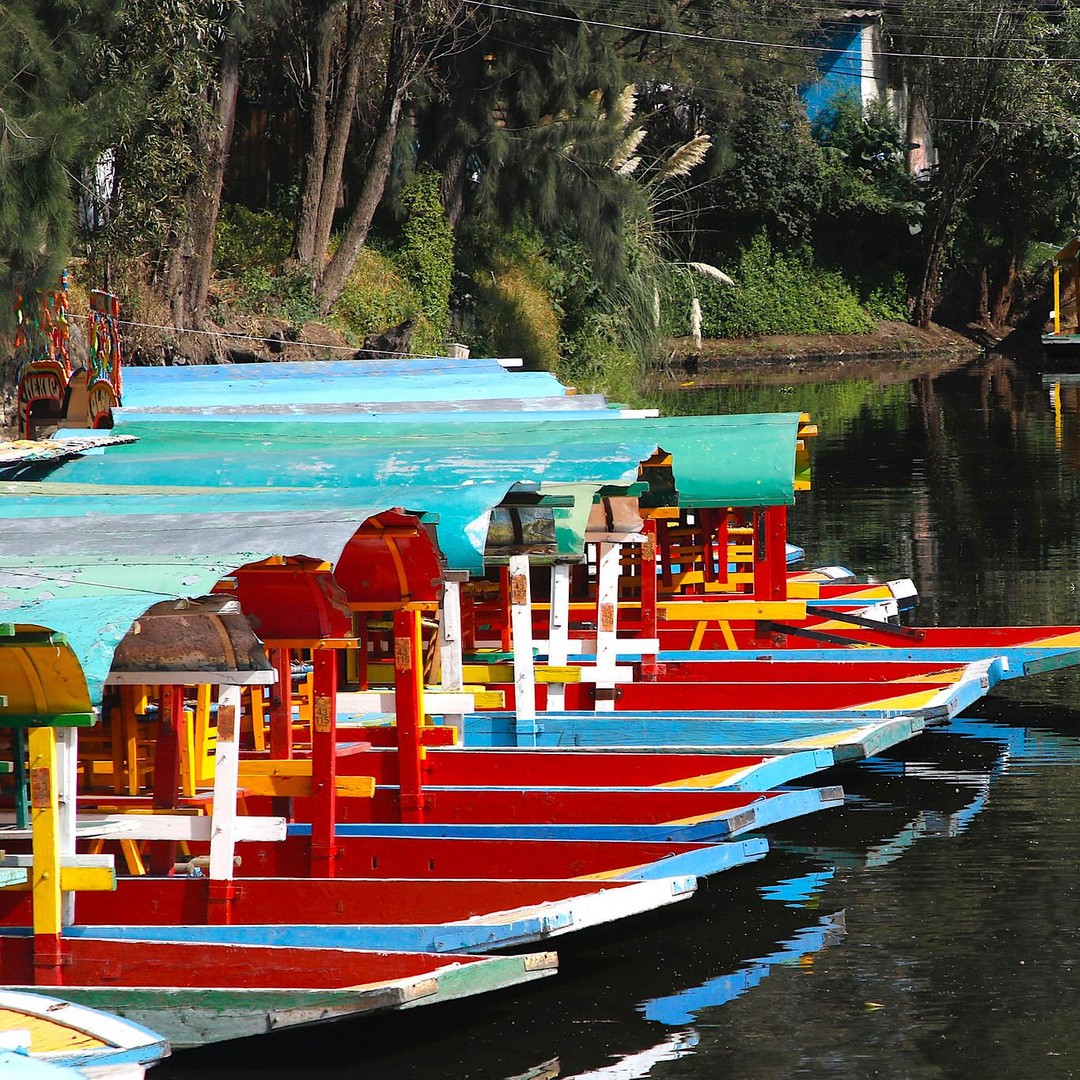 CDMX: Naviga a Xochimilco e visita Coyoacán, con la possibilità di ...