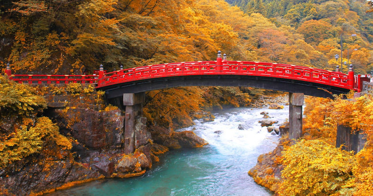 Desde Tokio: Excursión privada de un día a Nikko y el Lago Chuzenji ...