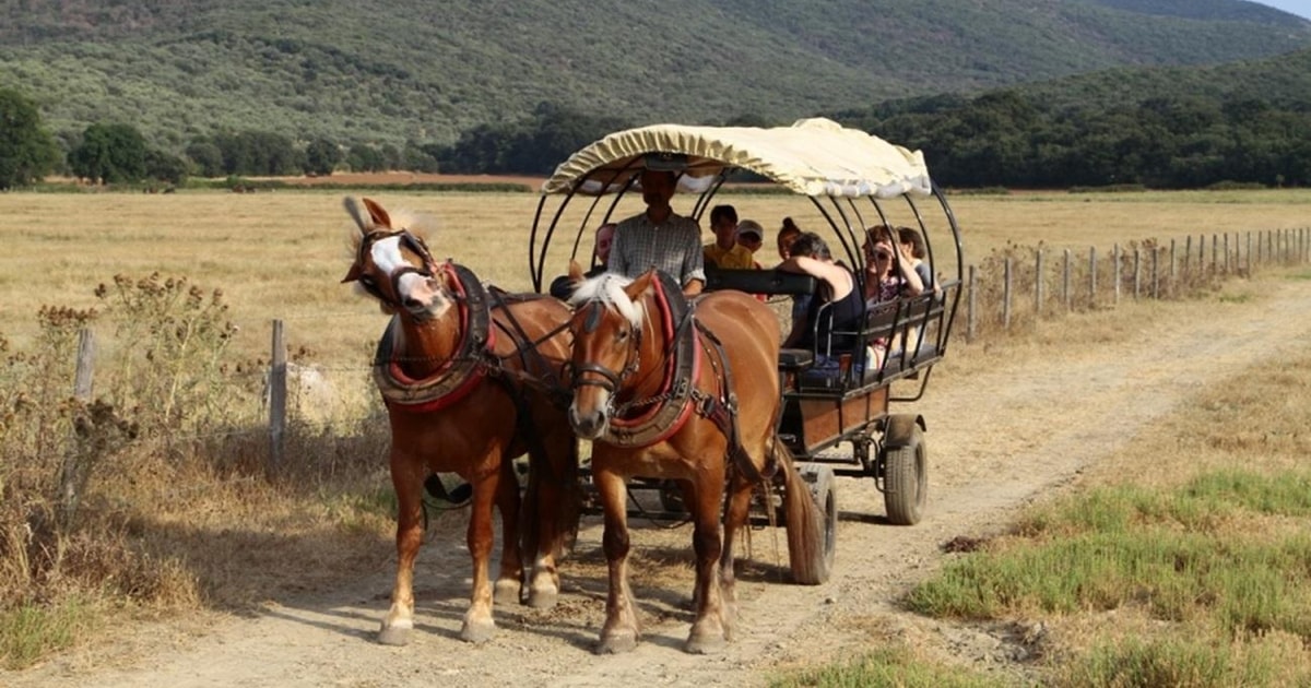 Mit der Kutsche durch den Parco della Maremma mit Strand von Collelungo ...
