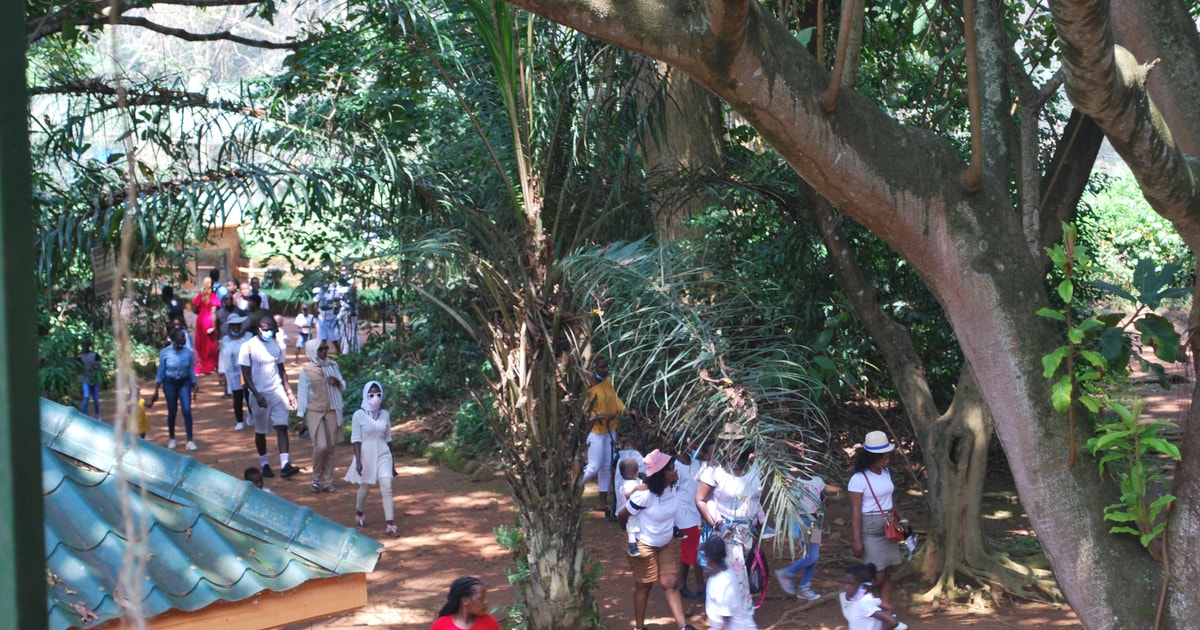 1-Day Best of Entebbe City Guided Walking Tour | GetYourGuide